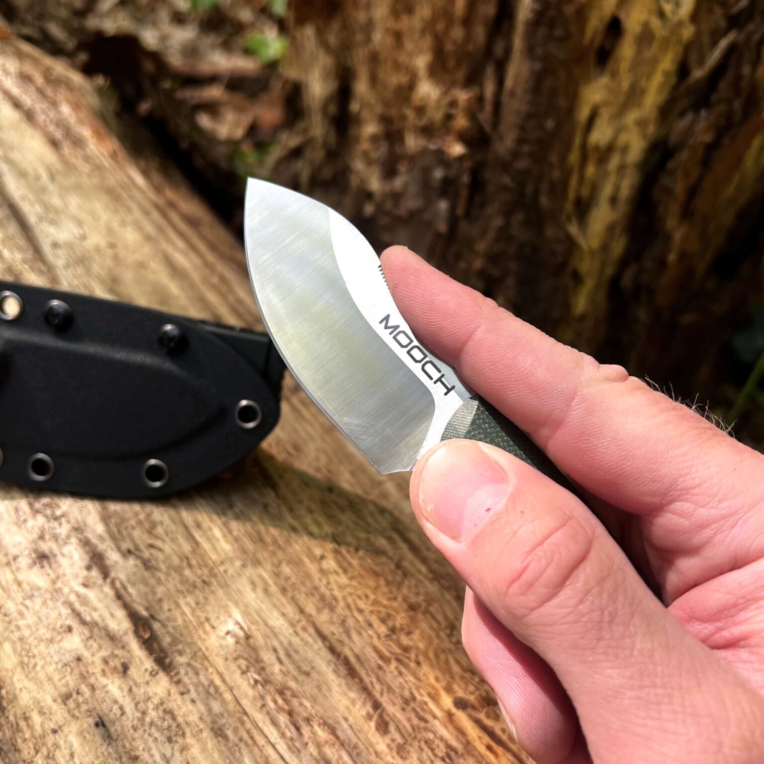 MOOCH Skinning Knife | Catty Shack